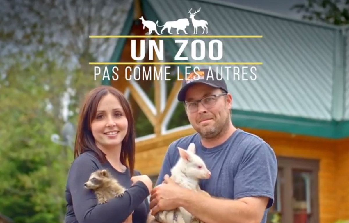 Un Ours Pas Comme Les Autres | AUTOMASITES Un Ours Pas Comme Les Autres | AUTOMASITES
